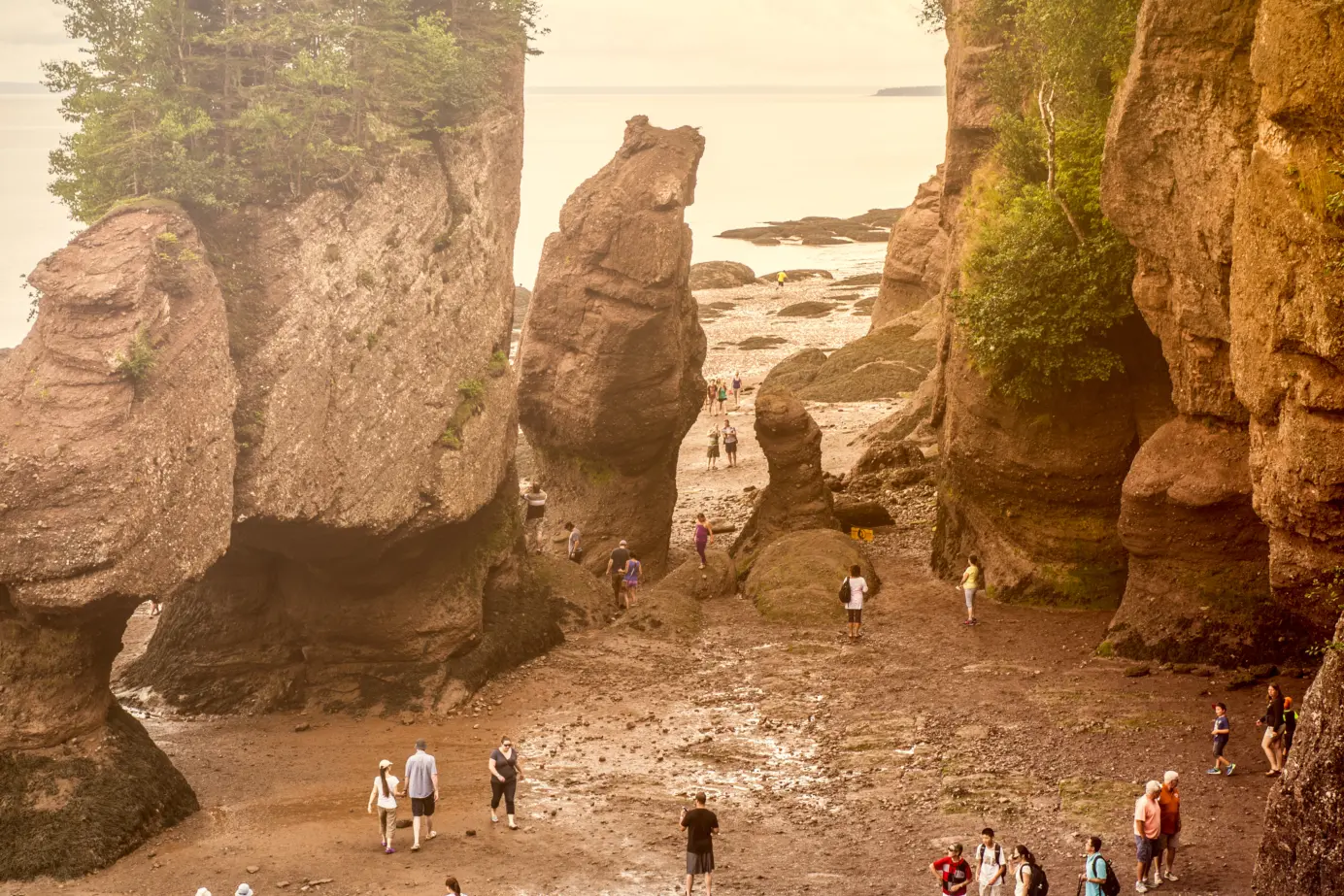 Sur les traces des Acadiens | Tours Chanteclerc