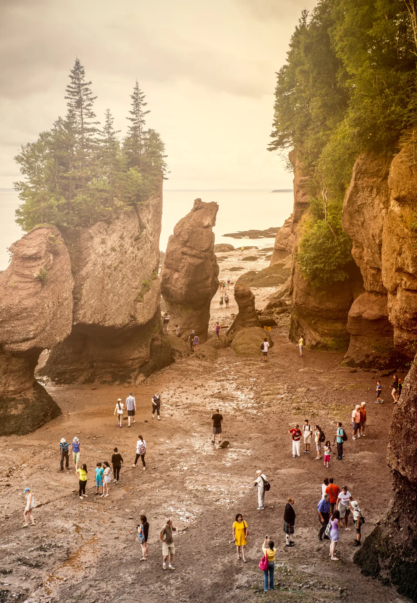 Sur les traces des Acadiens | Tours Chanteclerc